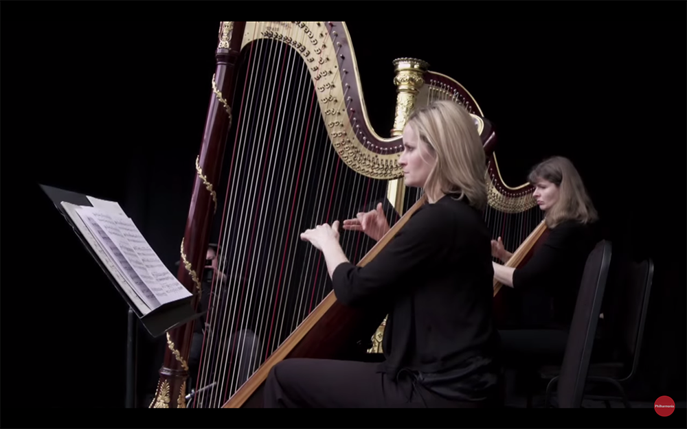 Harp | Philharmonia